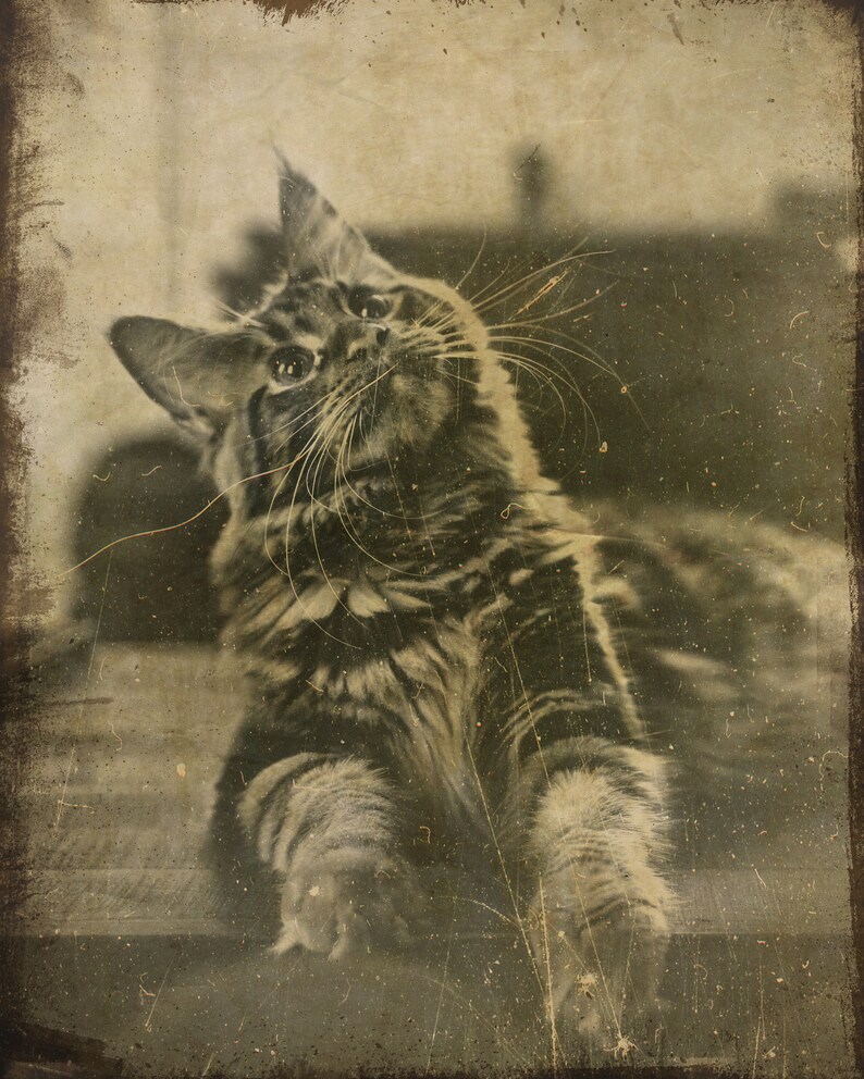 Vintage Effect Photoshop Mock-up, Nostalgic Old Photo Effect, Digital ...