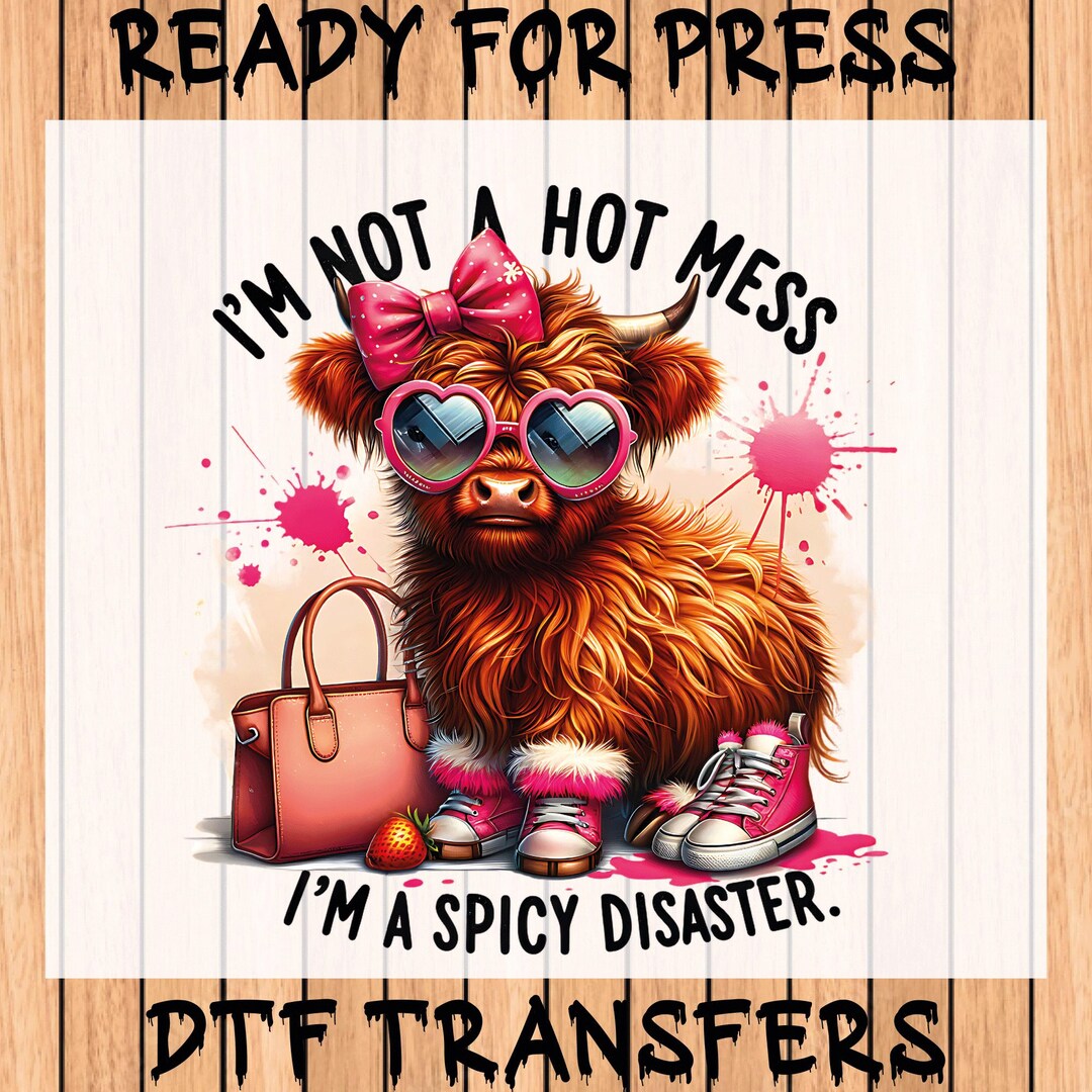 I'm Not A Hot Mess DTF Transfer: Sarcastic Retro Housewife - Etsy