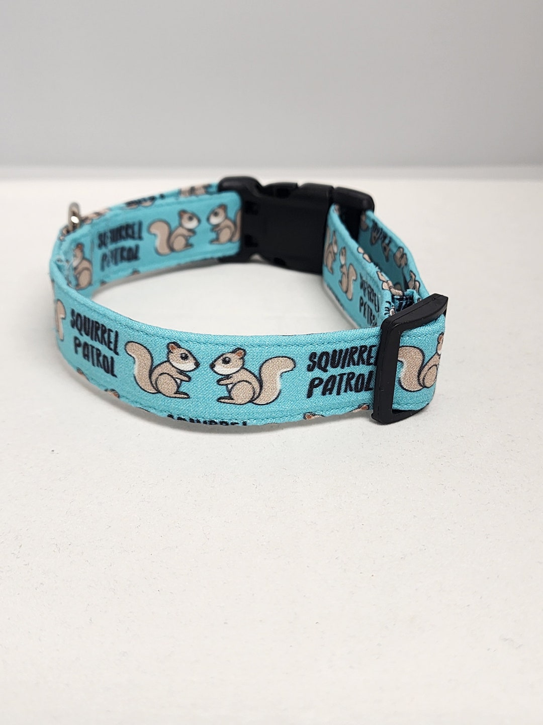 Squirrel Patrol in Aqua Dog Collar - Etsy