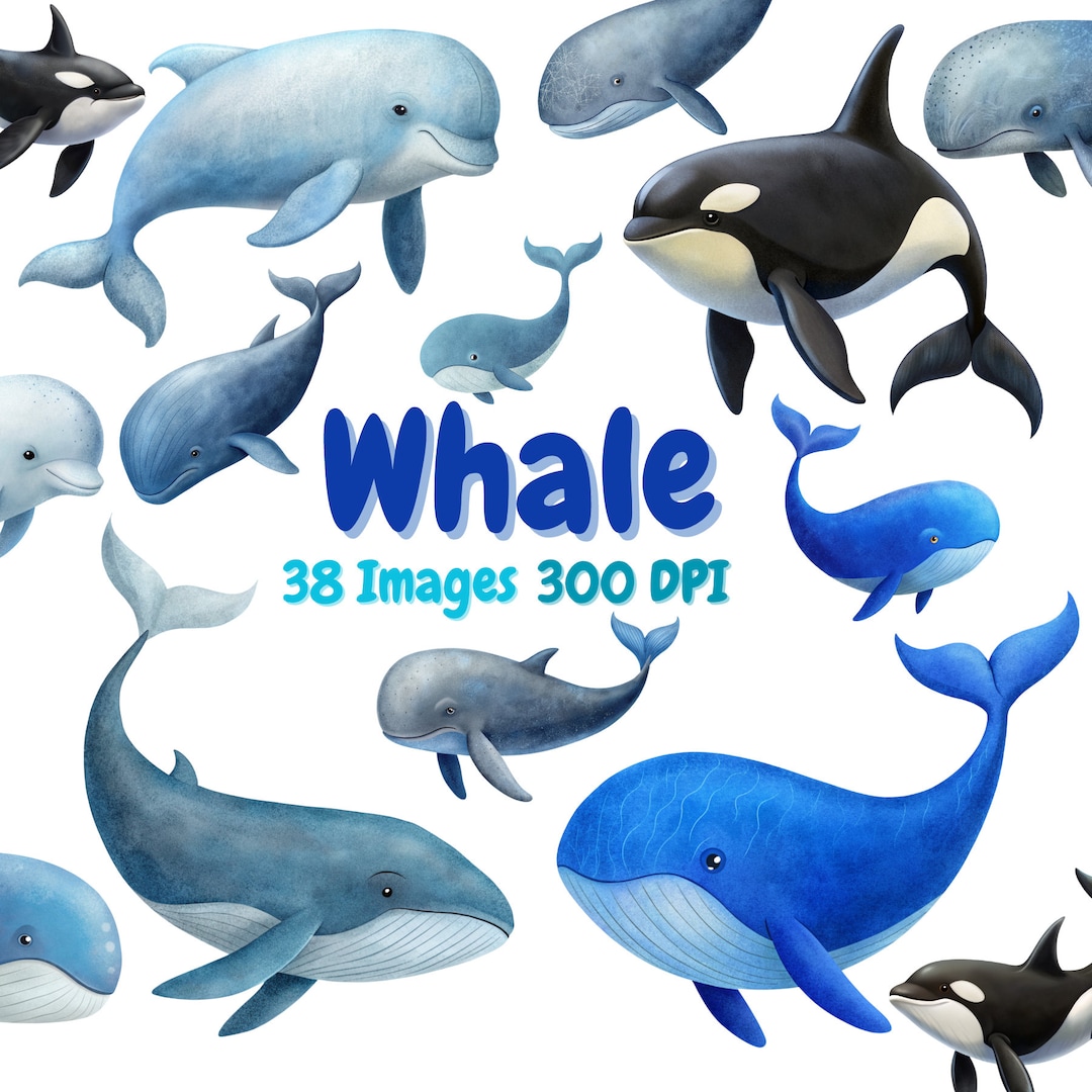 Watercolor Whales Clipart Whale Download Instant Download Orca Blue ...