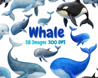 Watercolor Whales Clipart PNG Instant Download Ocean Sea Life Narwhal ...
