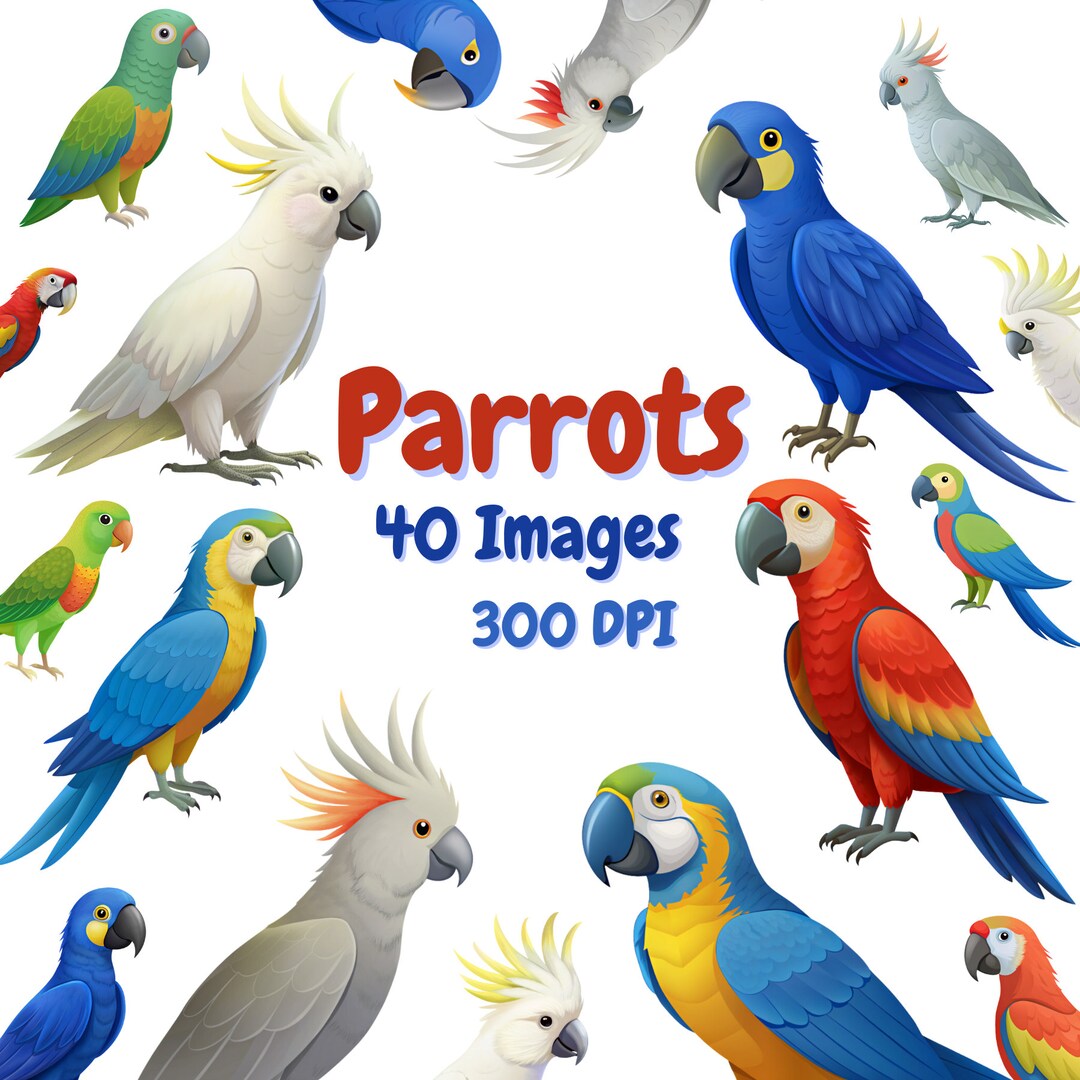 Cute Parrots Clipart Parrots Clipart Download, Instant Download ...