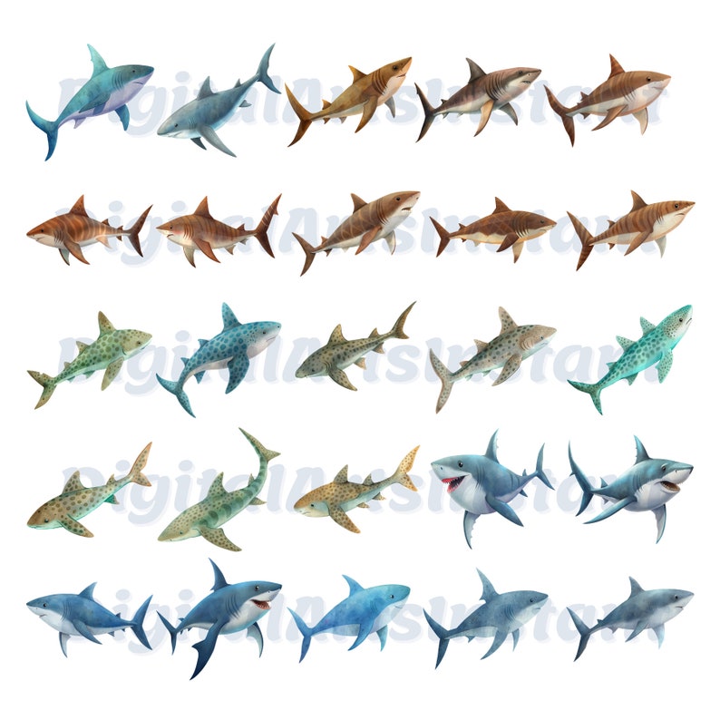 Watercolor Sharks Clipart Part 2 Shark Clipart Download, Instant ...