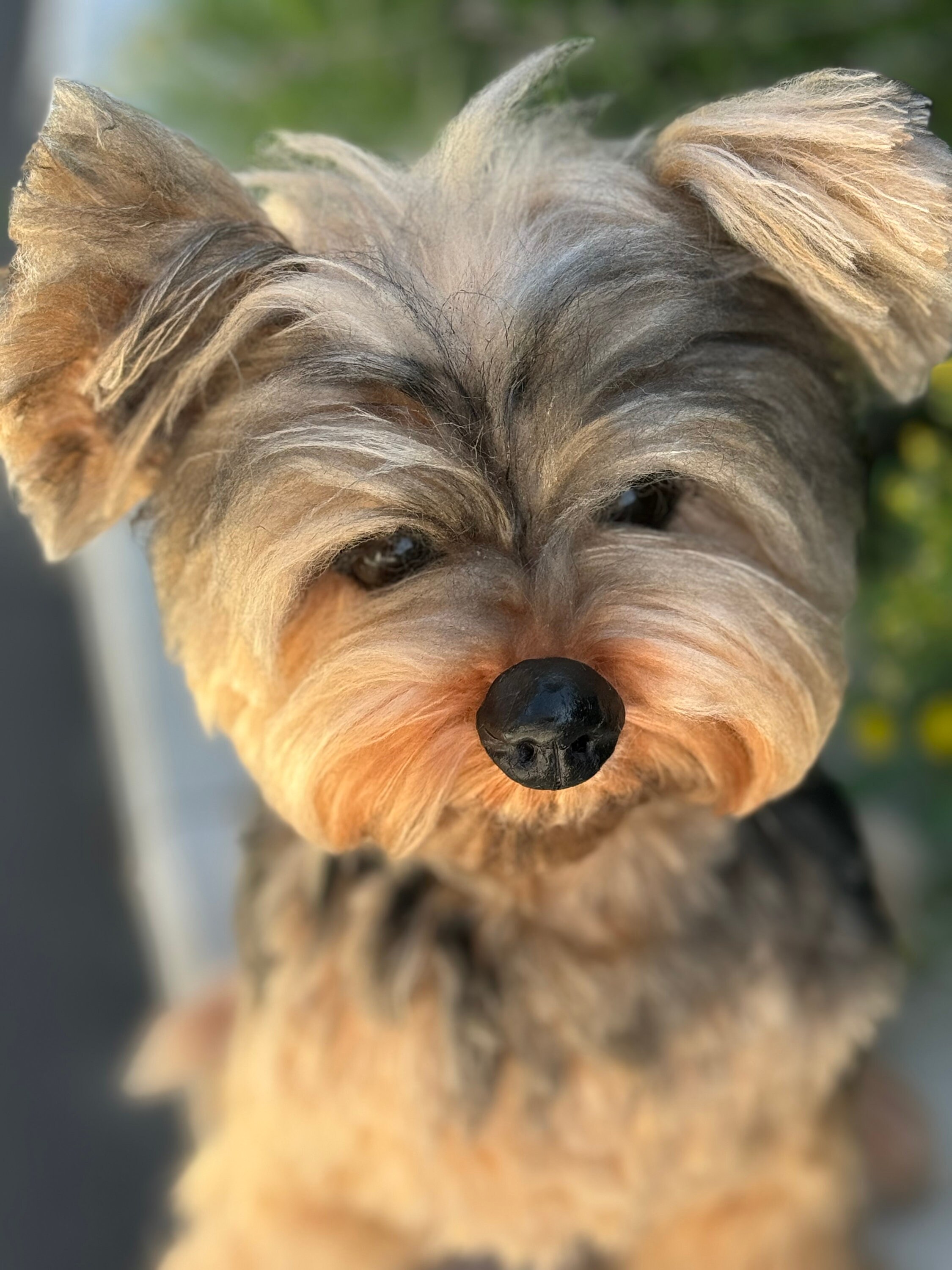 Realistic Yorkshire Terrier, Crochet Pattern in English, Digital PDF - Etsy