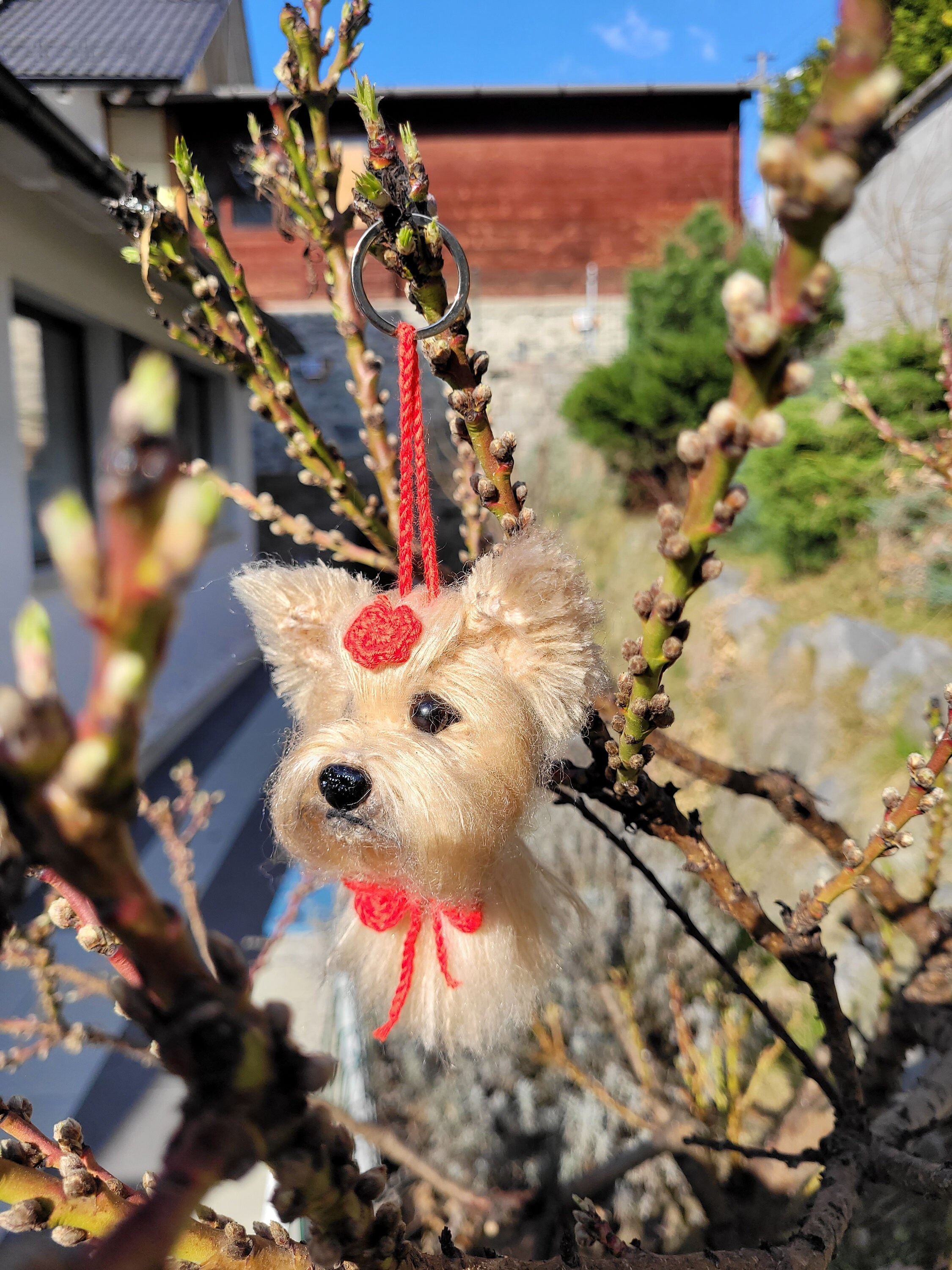 Realistic Yorkie Head, English Pattern PDF - Etsy