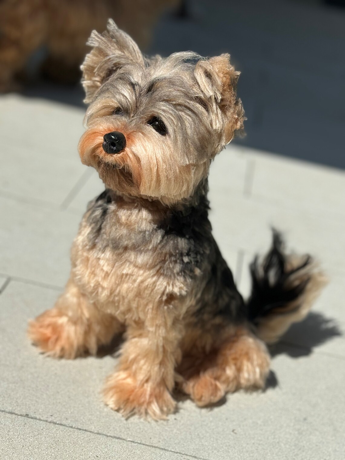 Realistic Yorkshire Terrier, Crochet Pattern in English, Digital PDF - Etsy