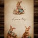 Easter Bunny Clipart Bundle, Easter Clipart, Easter Graphics, Easter ...