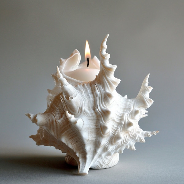 Shell Candle Holder - Etsy