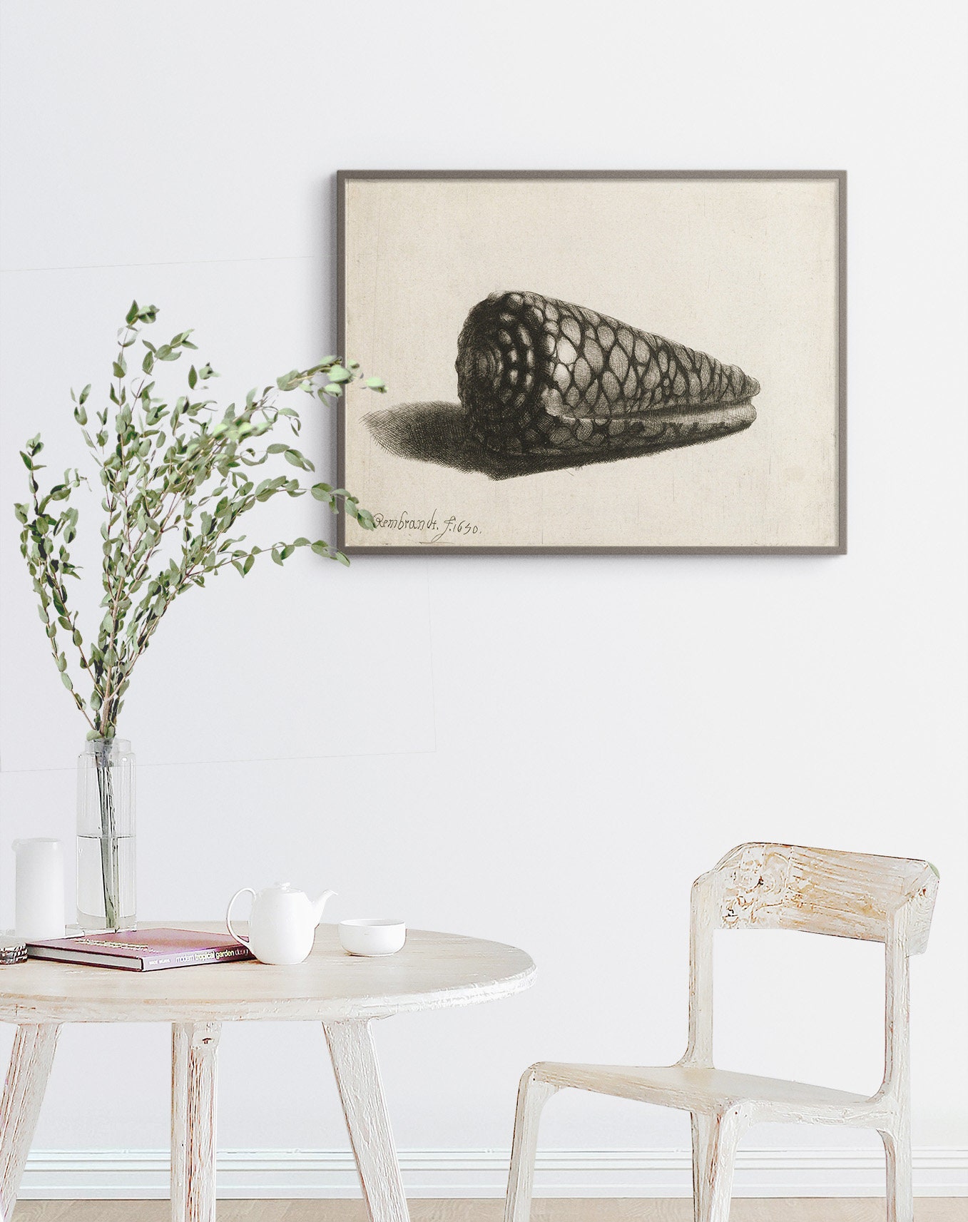 The Shell (conus Marmoreus) by Rembrandt Van Rijn, 1650 | Vintage ...