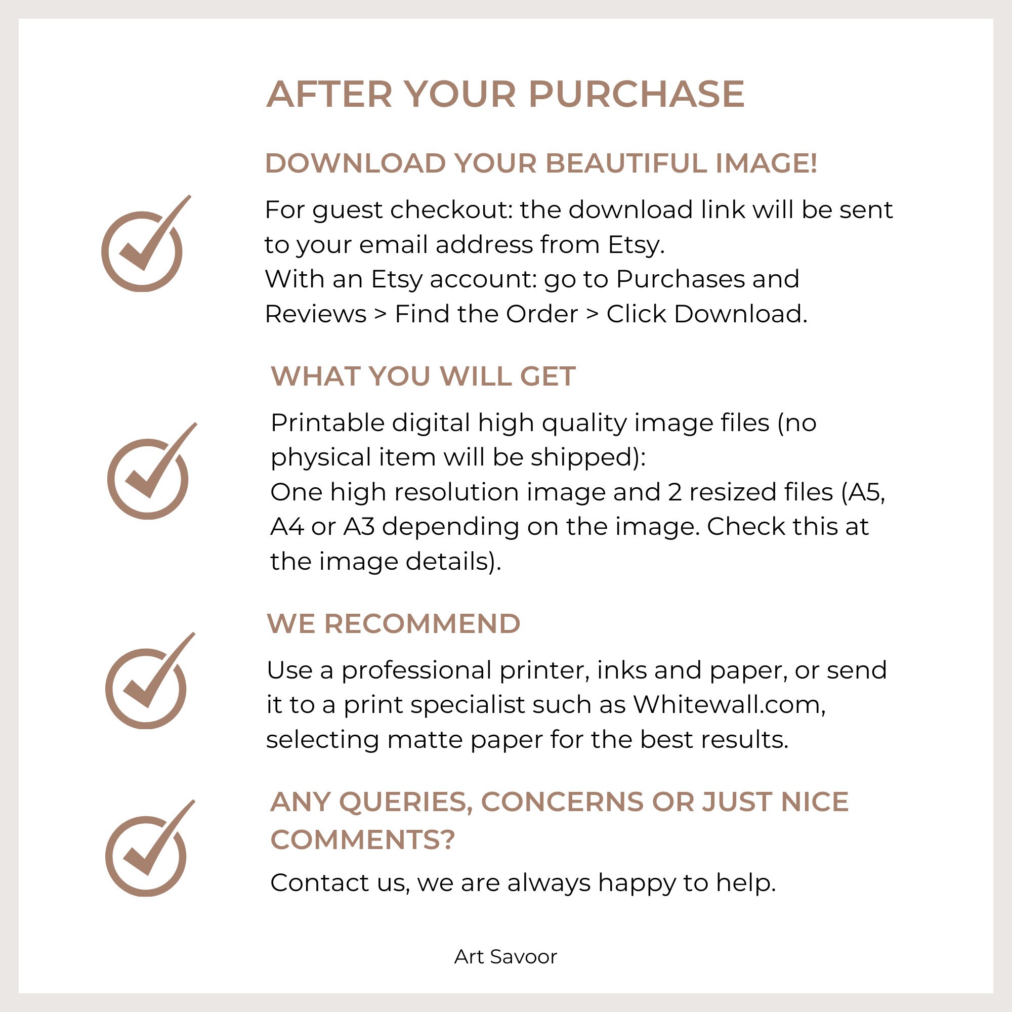 The Shell (conus Marmoreus) by Rembrandt Van Rijn, 1650 | Vintage ...