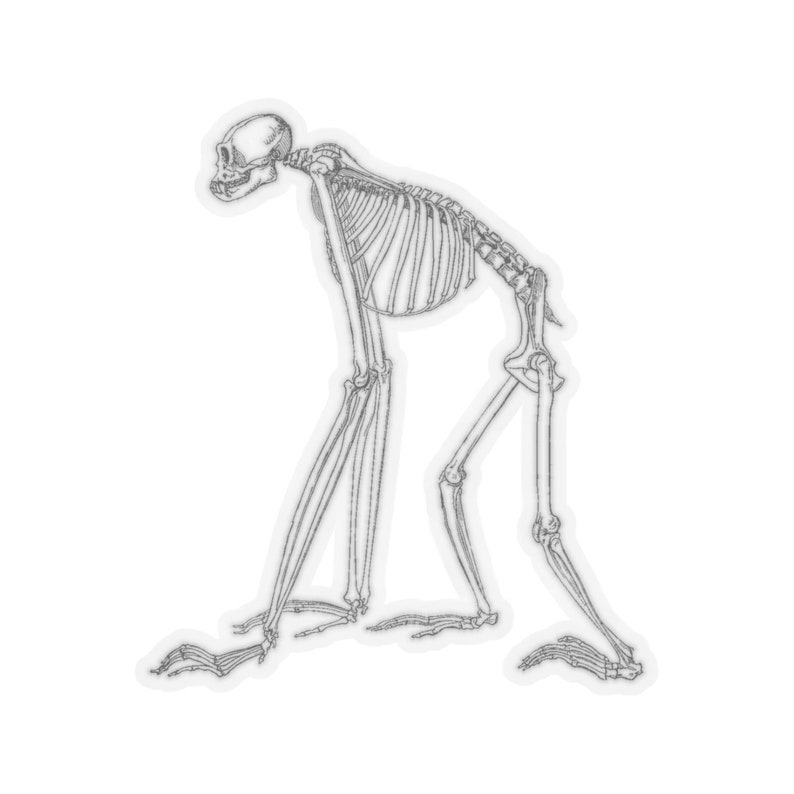 Ape Skeleton Sticker - Etsy