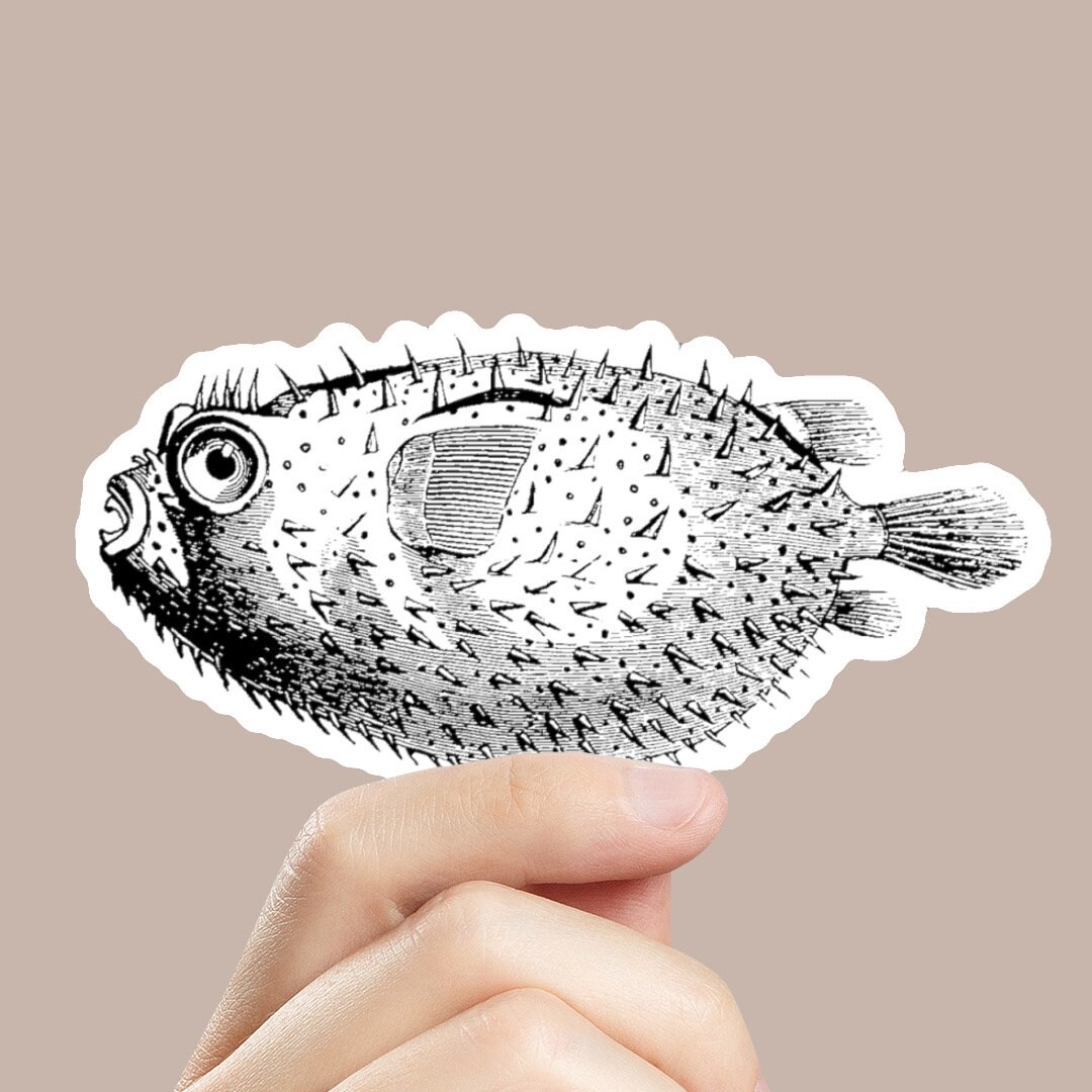 Blowfish Sticker - Etsy