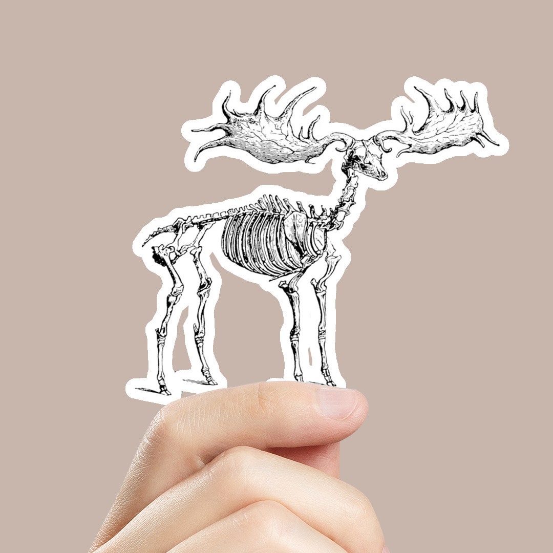 Moose Skeleton Sticker - Etsy