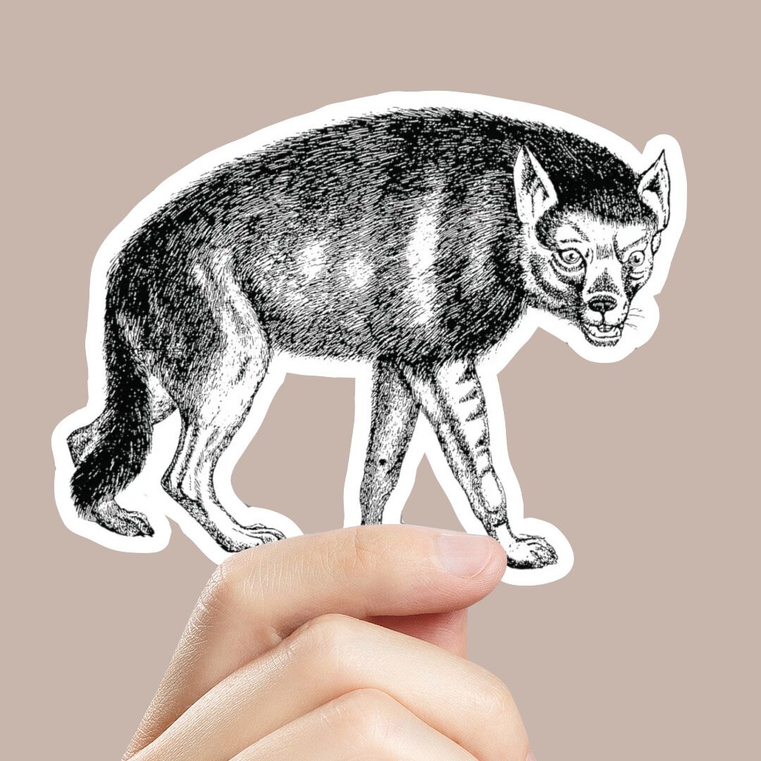 Hyena Sticker - Etsy