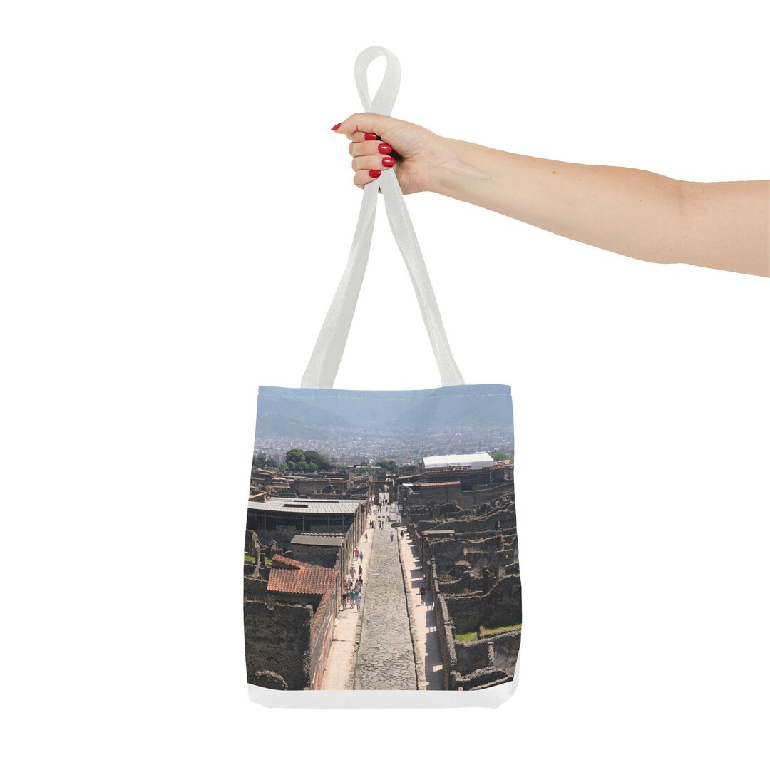Pompeii Tote Bag, Roman Ruins Carryall, History Lover Gift, Travel ...