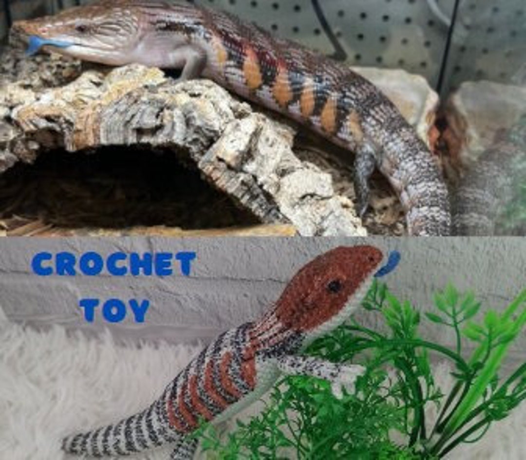 Blue Tongued Skink Plush - Etsy