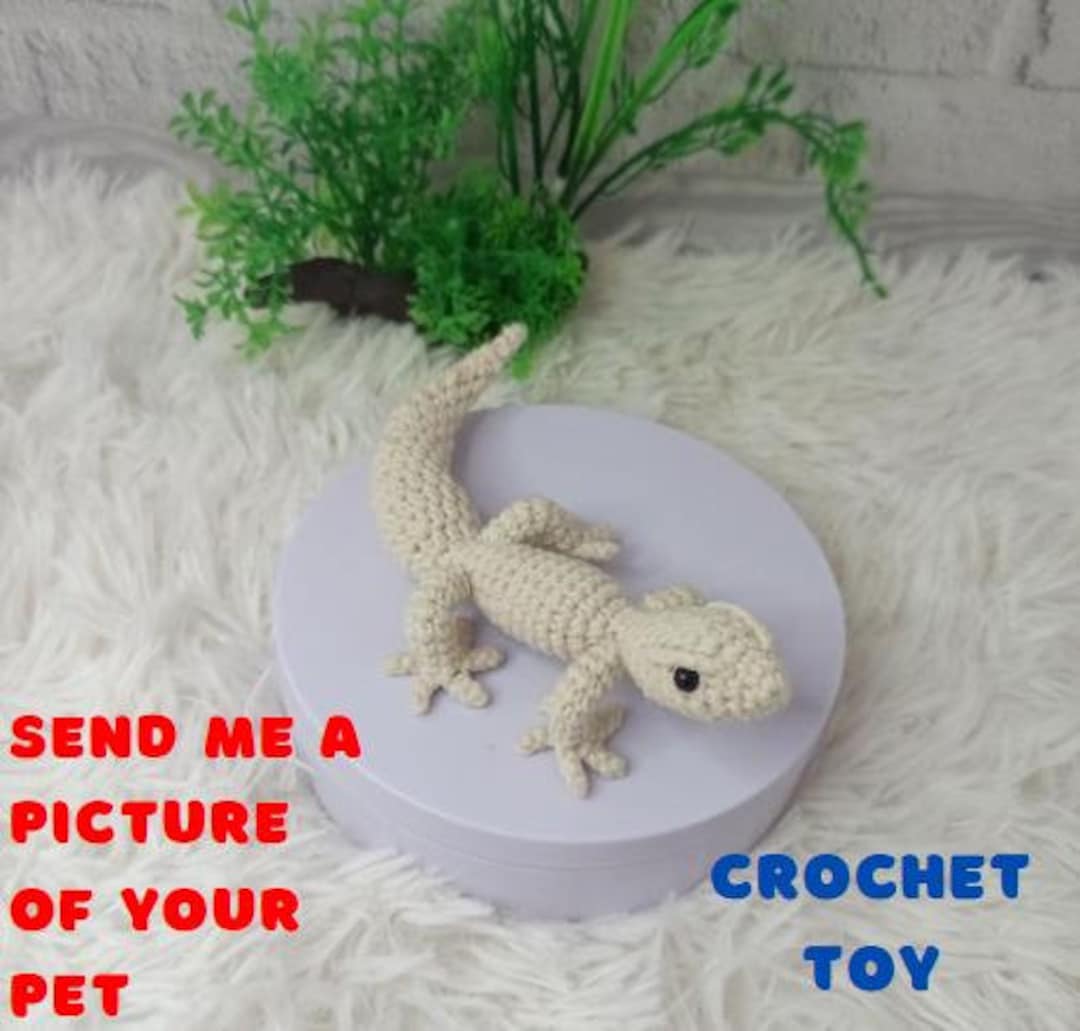 Gecko Albinos Toy - Etsy