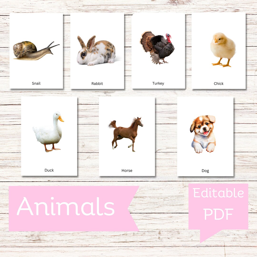 FARM ANIMALS • Editable Montessori Cards • Flash Cards Nomenclature ...