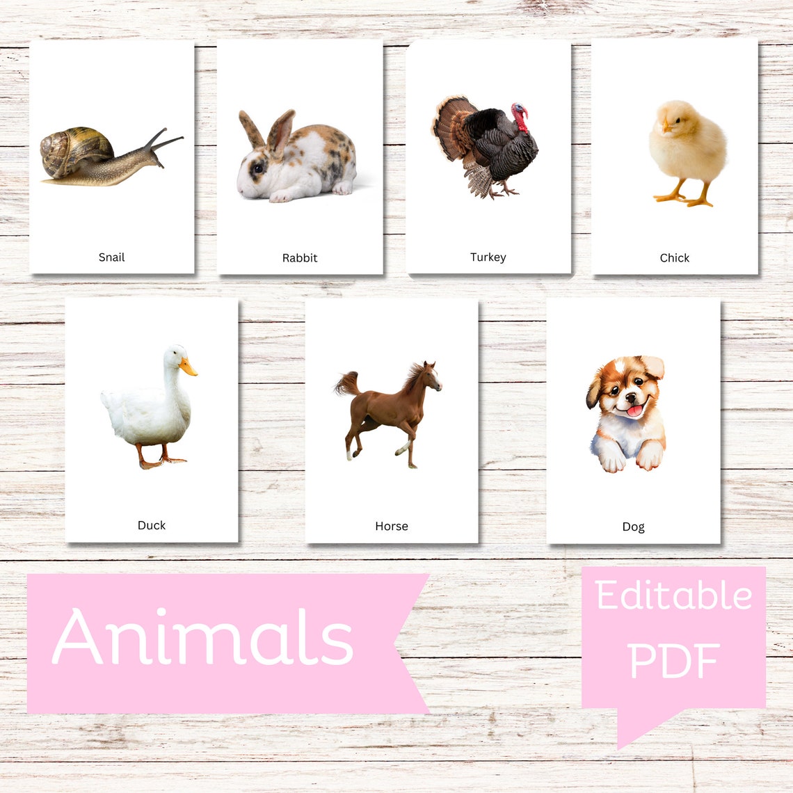 FARM ANIMALS • Editable Montessori Cards • Flash Cards Nomenclature ...