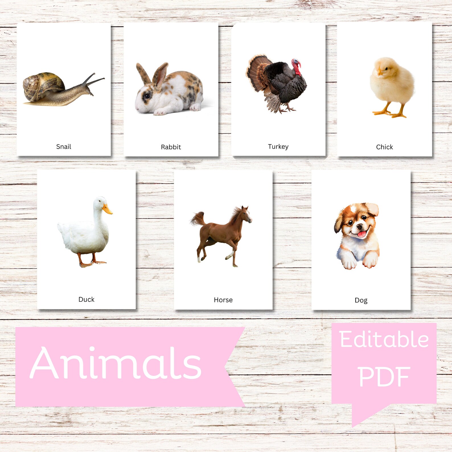 FARM ANIMALS • Editable Montessori Cards • Flash Cards Nomenclature ...