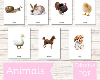 FARM ANIMALS • 12 Printable Montessori Cards • Flash Cards Nomenclature ...