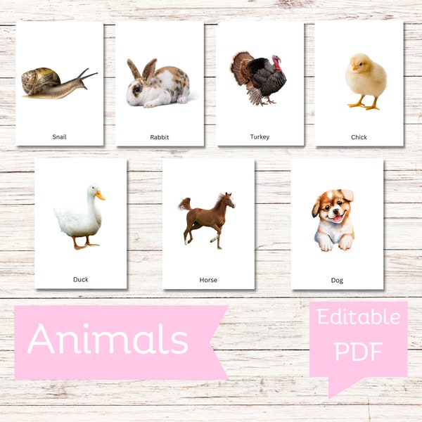 Animal Flash Cards - Etsy