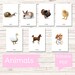 FARM ANIMALS • Editable Montessori Cards • Flash Cards Nomenclature ...