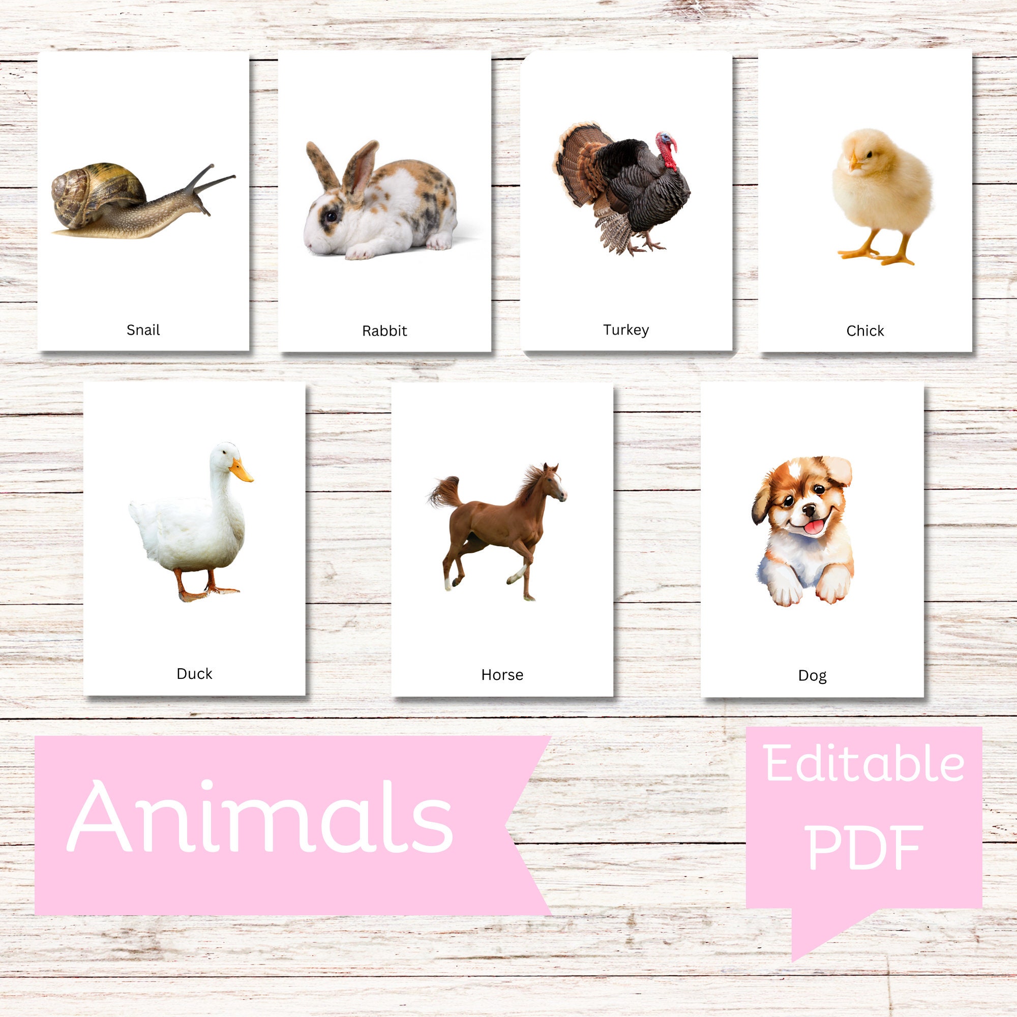 FARM ANIMALS • Editable Montessori Cards • Flash Cards Nomenclature ...