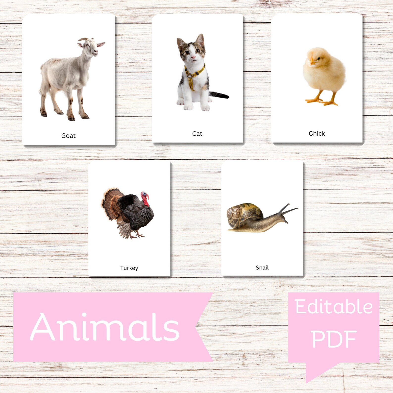 FARM ANIMALS • Editable Montessori Cards • Flash Cards Nomenclature ...