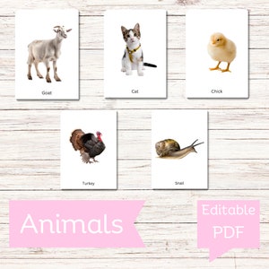 FARM ANIMALS • Editable Montessori Cards • Flash Cards Nomenclature ...