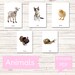 FARM ANIMALS • Editable Montessori Cards • Flash Cards Nomenclature ...