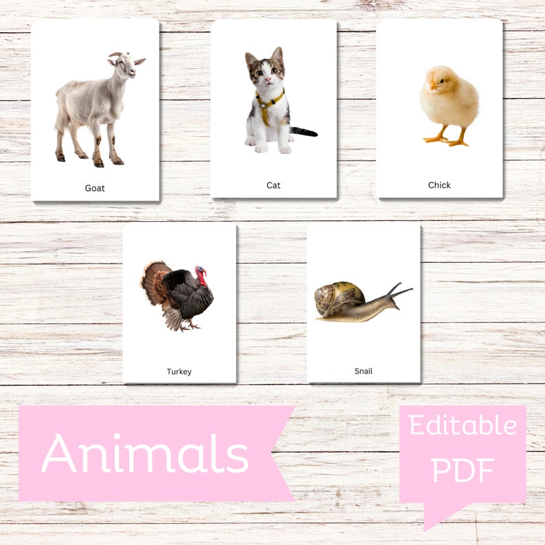 FARM ANIMALS • Editable Montessori Cards • Flash Cards Nomenclature ...