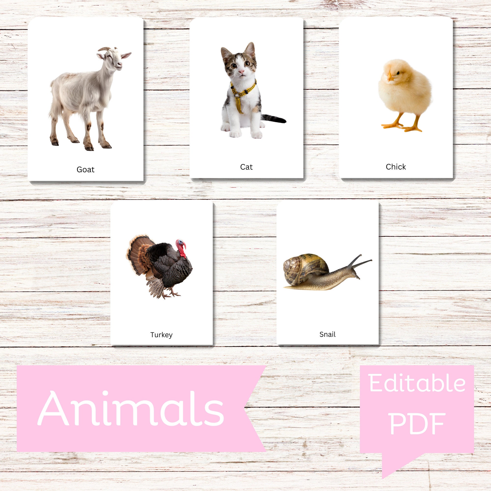 FARM ANIMALS • Editable Montessori Cards • Flash Cards Nomenclature ...