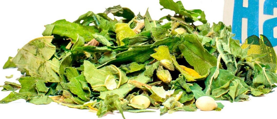 Organic Hemp Tea Pure, Calming and Relaxing Loose Leaf Tea Caffeine ...