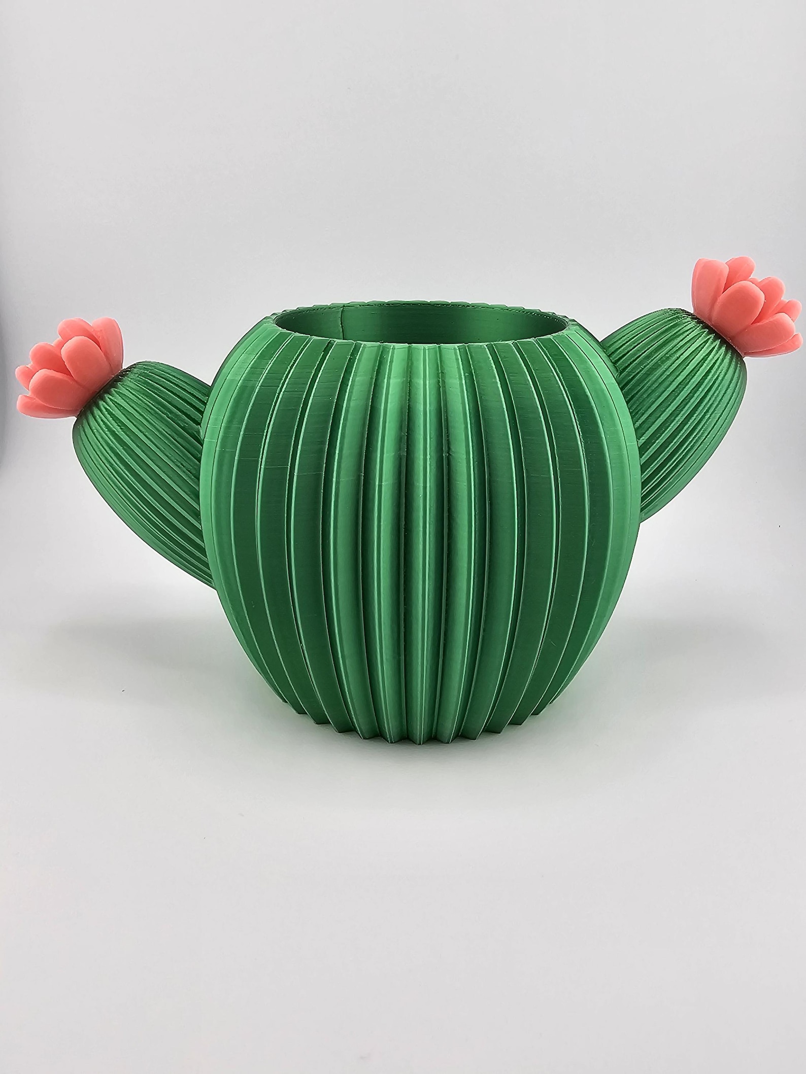 Cactus Planter Pot or Desk Cup - Etsy