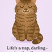 Printable Funny Cat Affirmation Cards – Cute & Motivational Pet Quotes ...