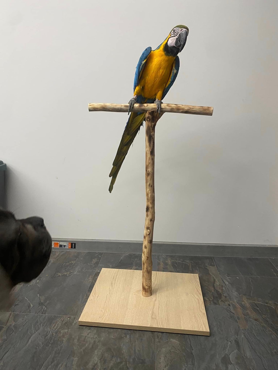 Bird Toys, Bird Play Stand, Bird Playground,parrot Perch, Handmade ...