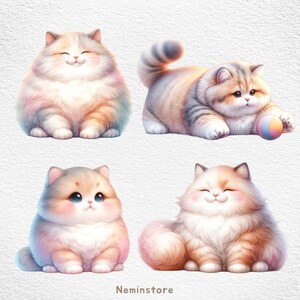 Chubby Cat Digital PNG Clipart 300 DPI Watercolor Style Cat Clipart ...