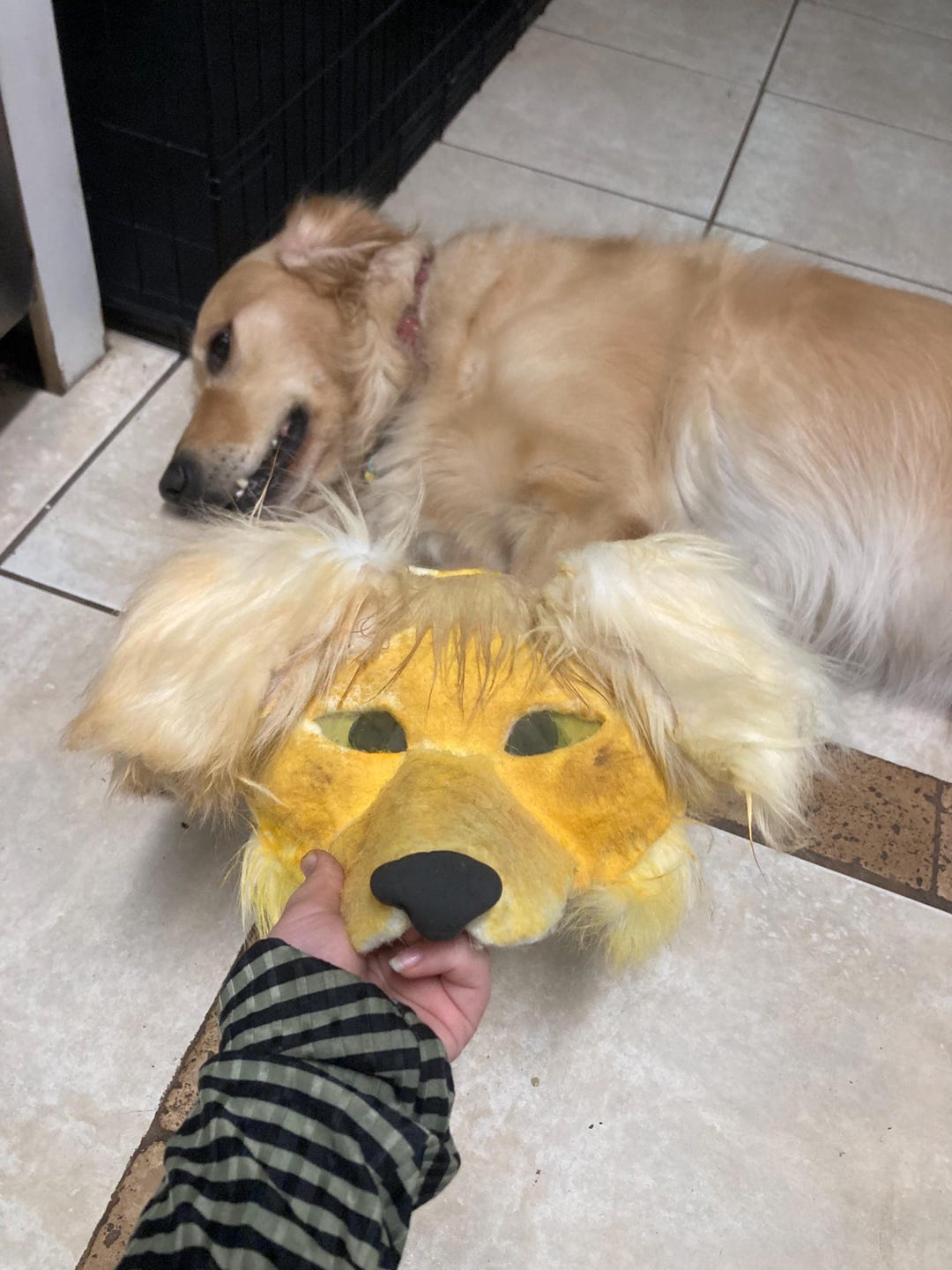 Golden Retriever Therian Mask - Etsy