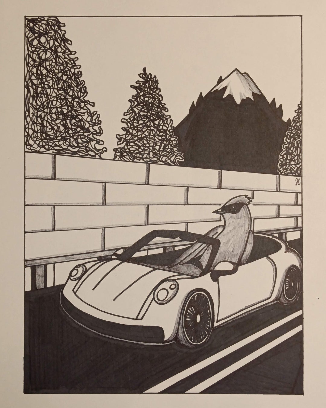 Spiffy Car for a Spiffy Bird Ink Drawing - Etsy