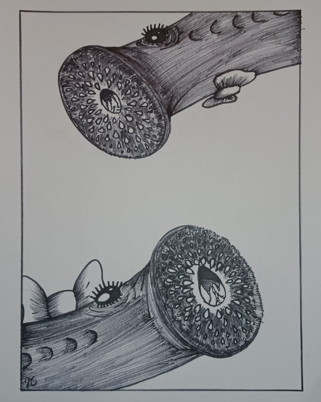 Original Ink | Lampreys Wall Art - Etsy