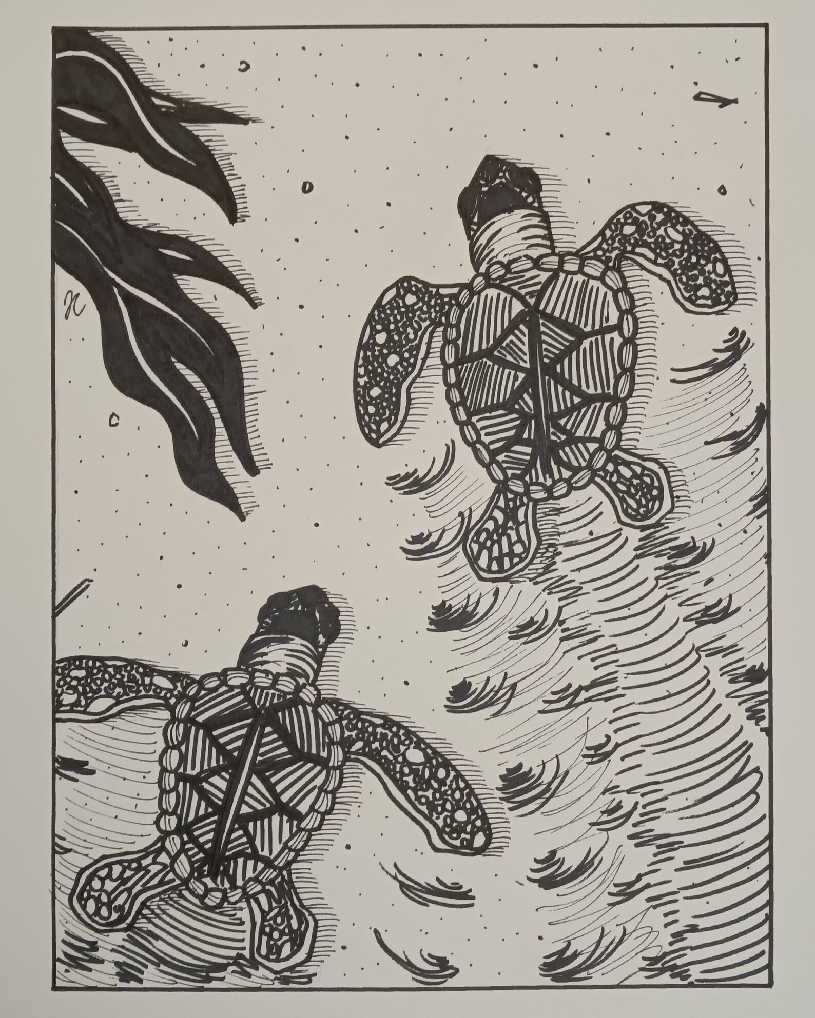 Sea Turtles Ink Drawing - Etsy