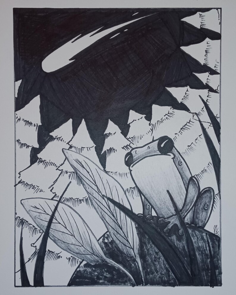 Original Ink | Frog With Meteor Wall Art - Etsy