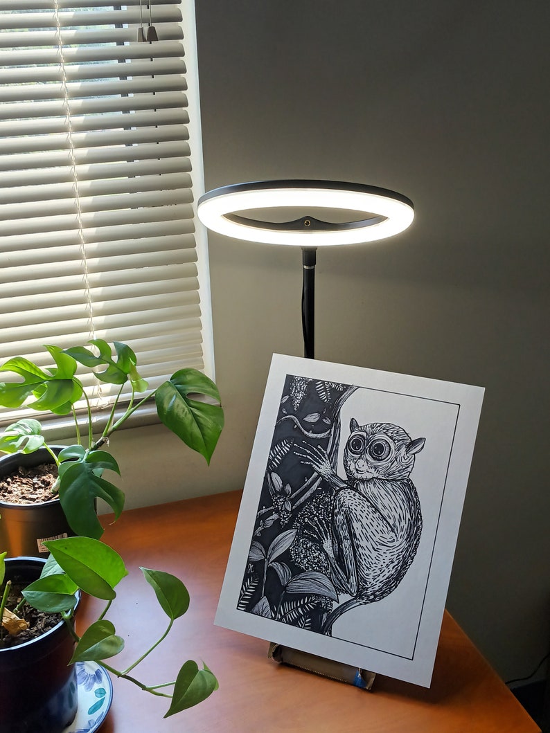 Original Ink | Tarsier Wall Art - Etsy