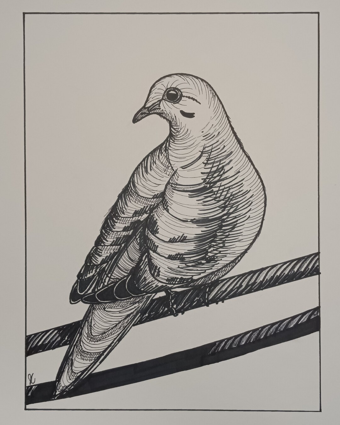 Original Ink | Mourning Dove Wall Art - Etsy