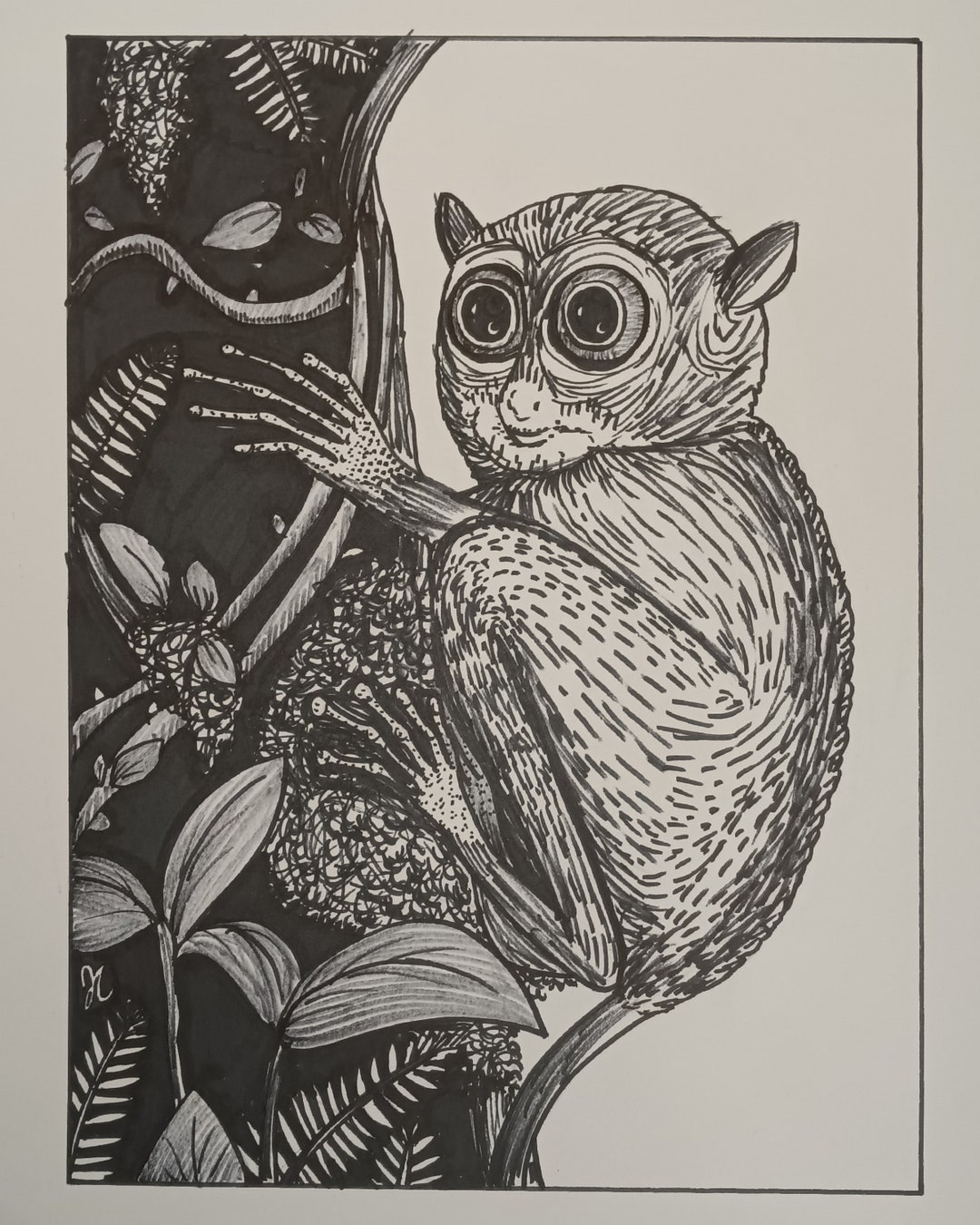 Original Ink | Tarsier Wall Art - Etsy