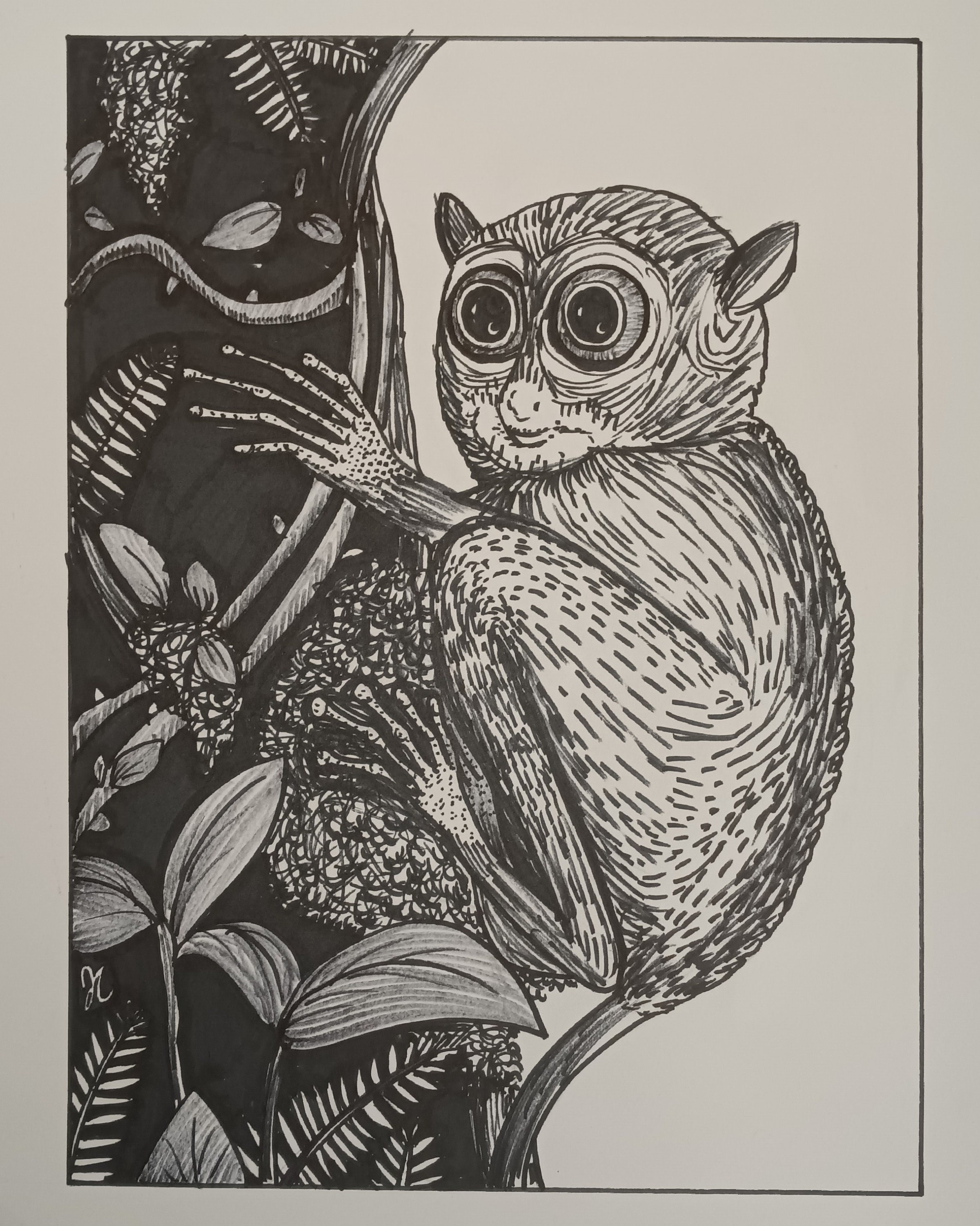 Original Ink | Tarsier Wall Art - Etsy