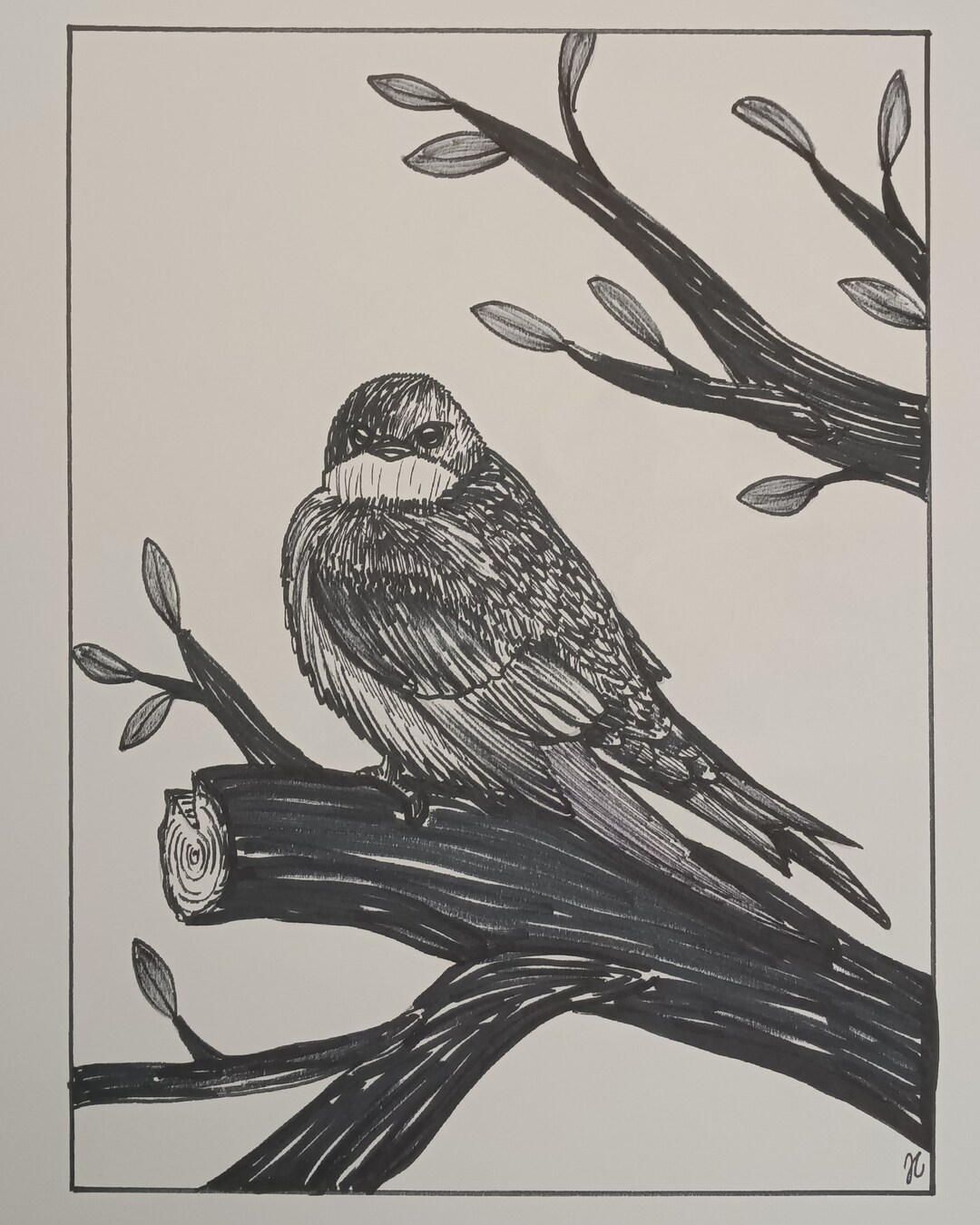 Original Ink | Tree Swallow Wall Art - Etsy