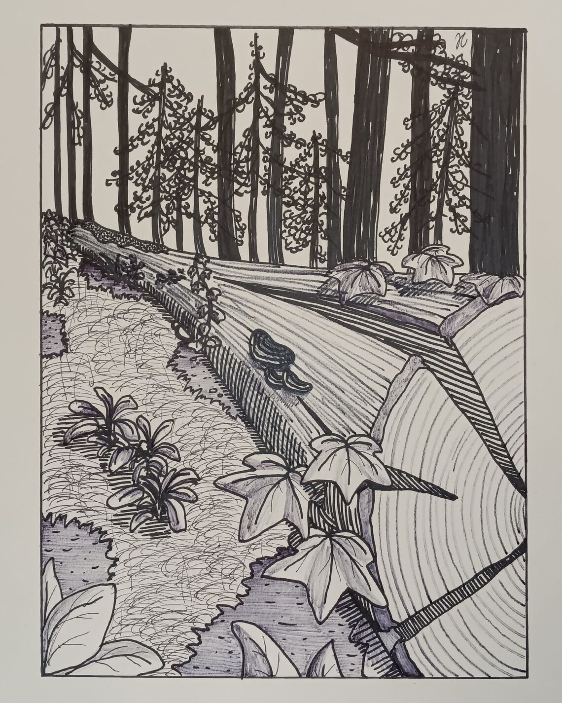 Fallen Tree Ink Drawing - Etsy