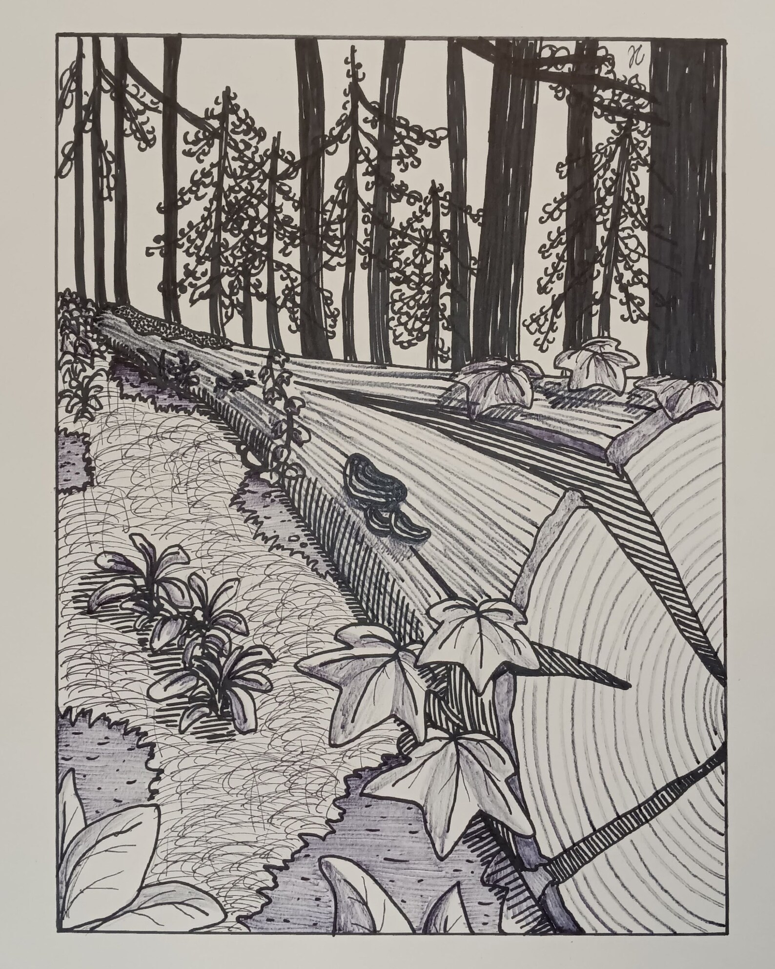 Fallen Tree Ink Drawing - Etsy